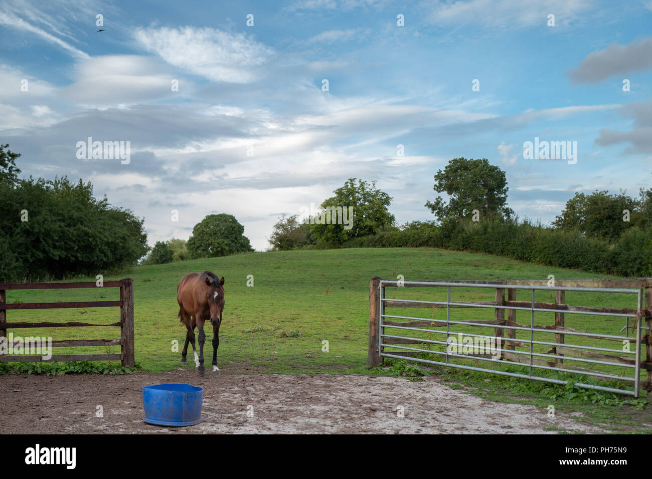 Horse stable racing hi-res stock photography and images - Alamy