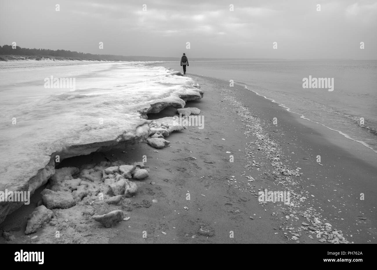 On beach dune baltic Black and White Stock Photos & Images - Alamy