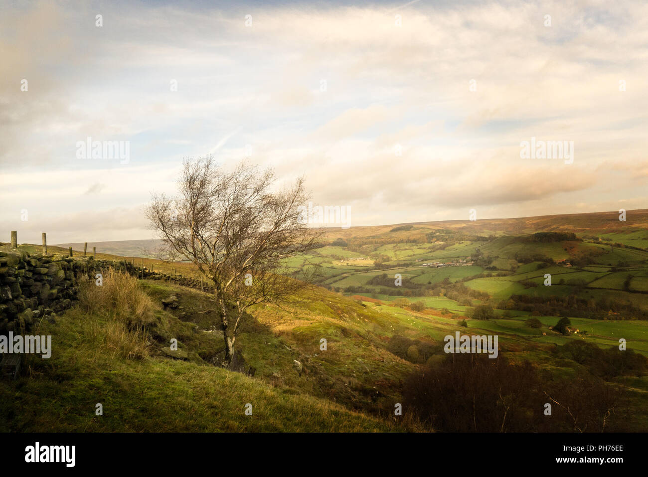 Alan ward hi-res stock photography and images - Alamy