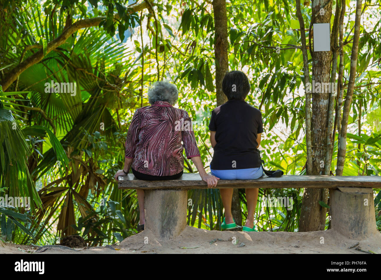 Family sitting under tree hi-res stock photography and images - Alamy
