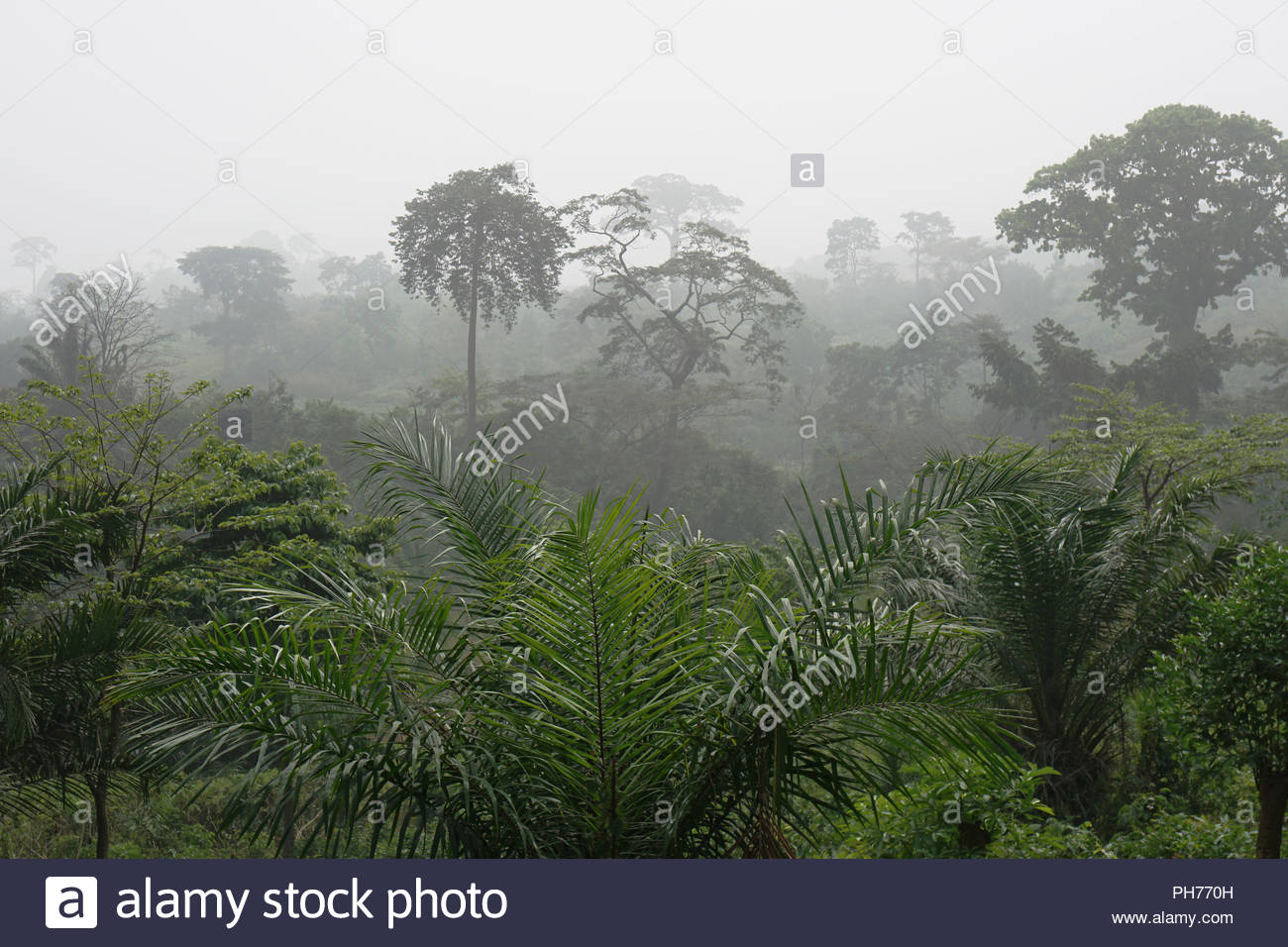 Togo Landscape High Resolution Stock Photography and Images - Alamy
