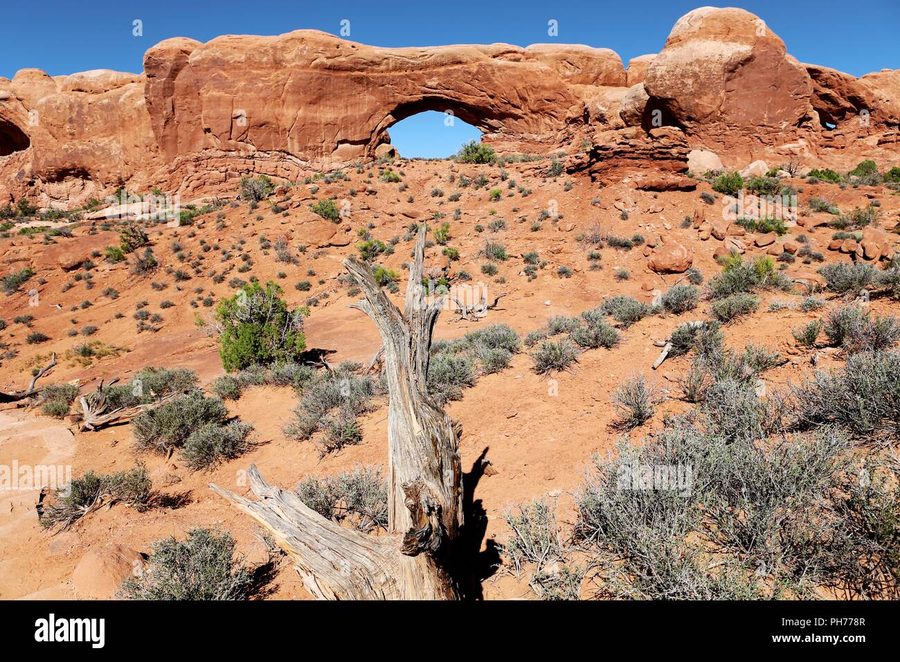 skyline arch at arches national park Stock Photo - Alamy
