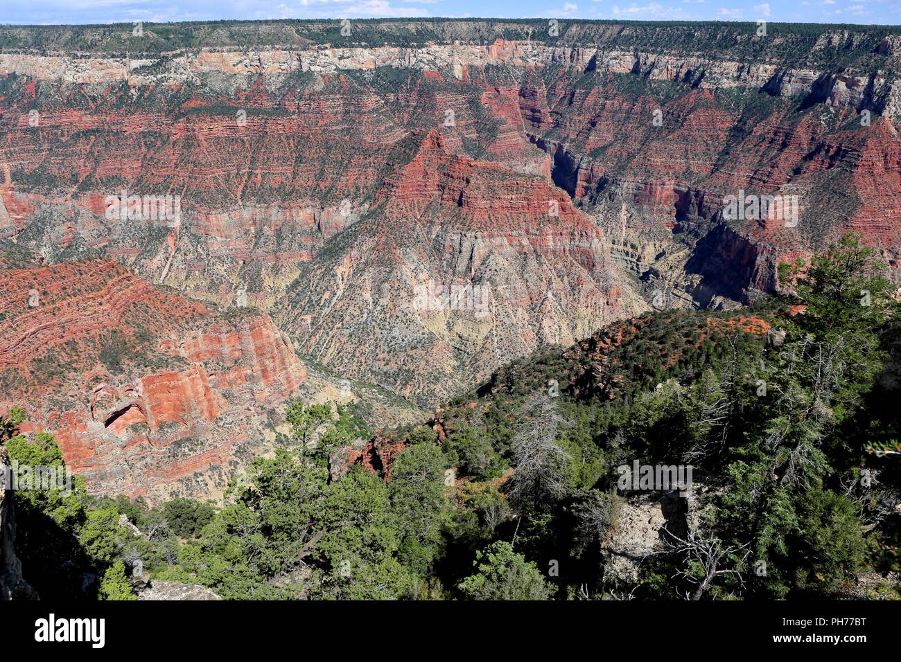 the grand canyon national park north rim arizona Stock Photo - Alamy