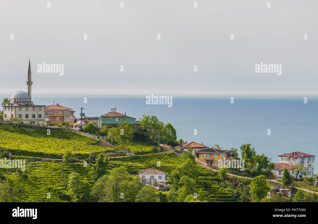 The Black Sea region is the greenest of the entire Turkey. Here in ...