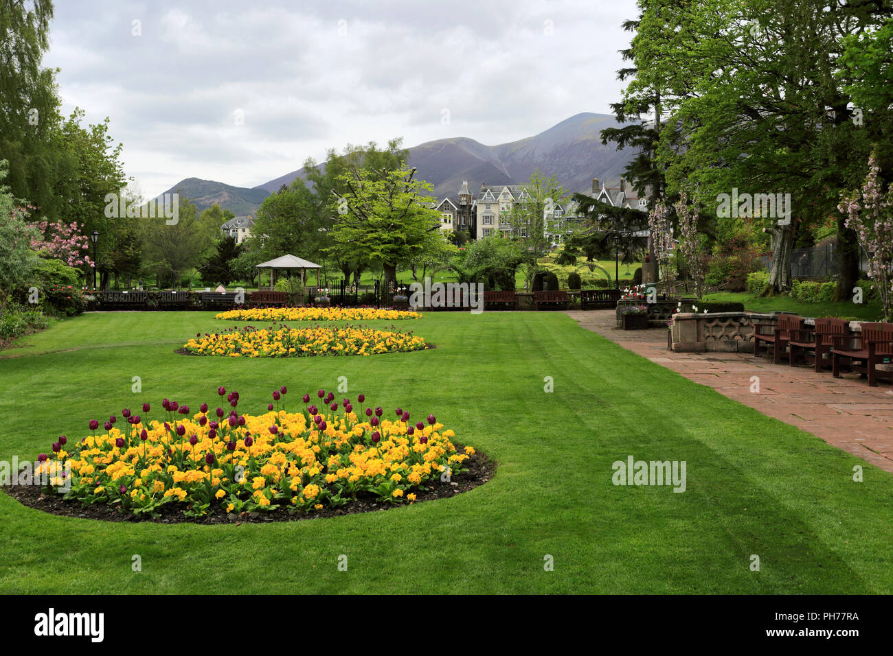 Spring flowers in Hope Park, Keswick town, Lake District National Park ...