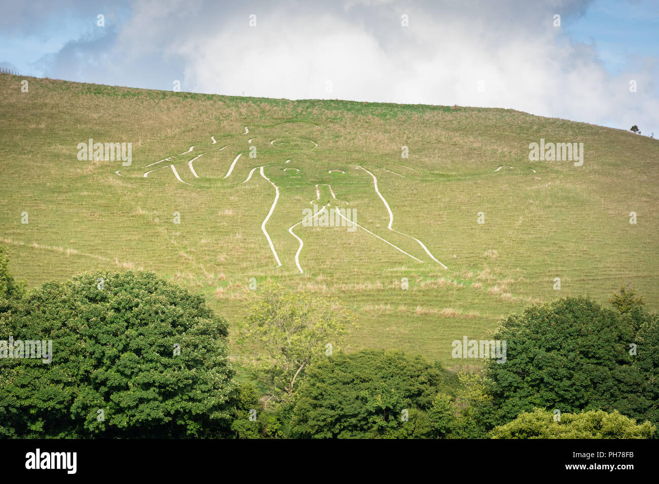 The Cerne Abbas Giant an ancient hill figure cut in the chalk hills in ...
