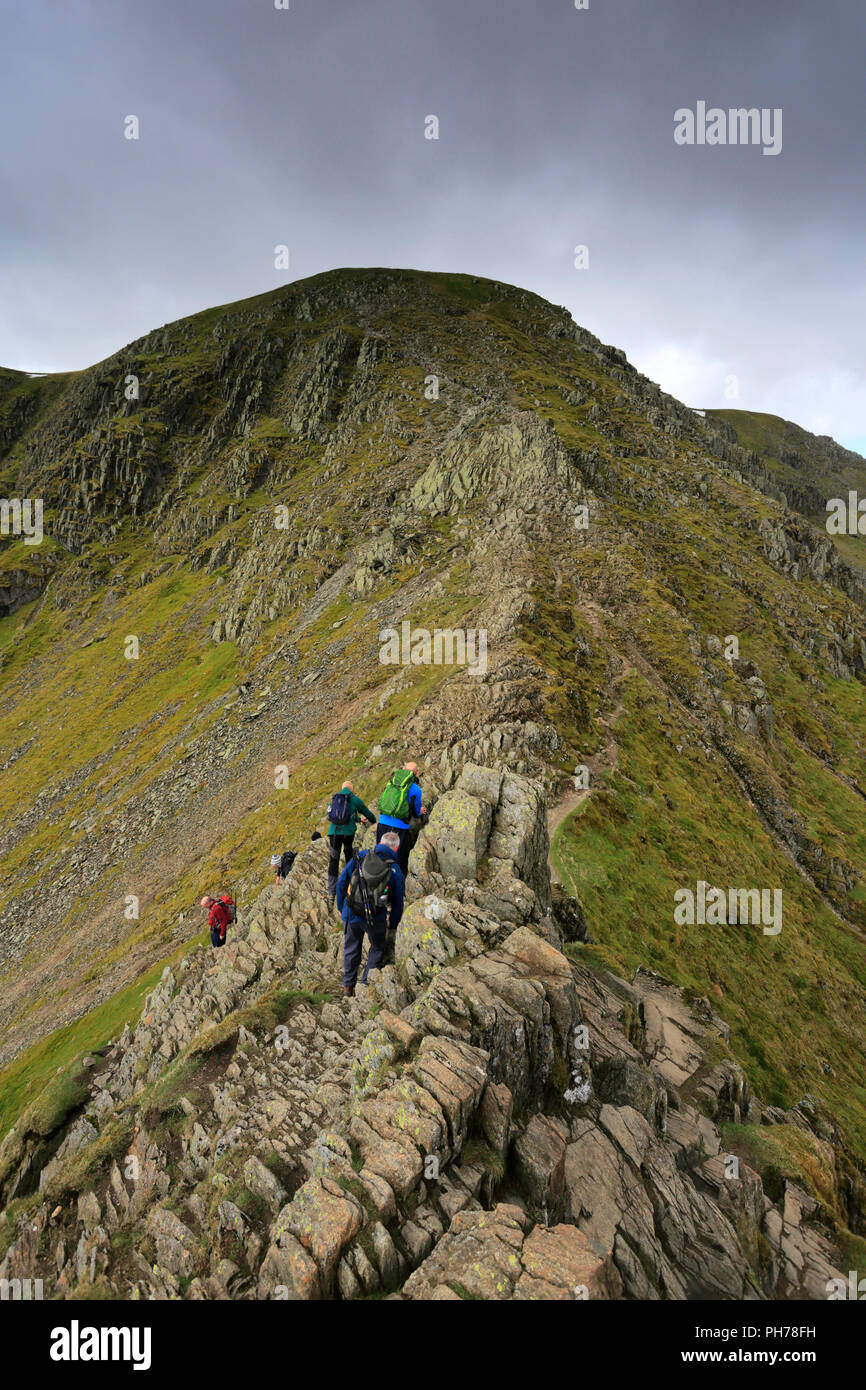 Walkers on Striding Edge ridge on the way to Helvellyn fell, Lake ...