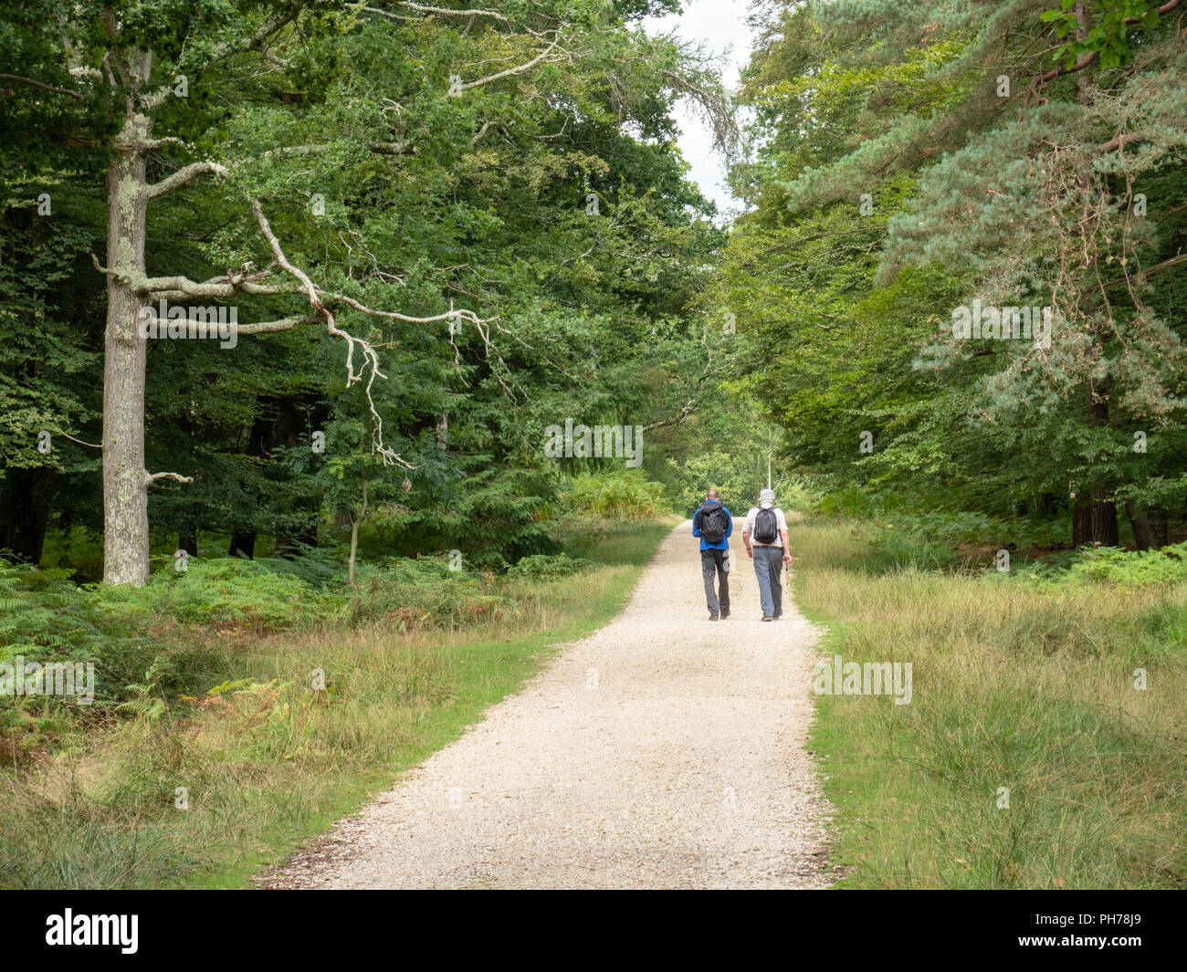 Two men summer walking hi-res stock photography and images - Alamy