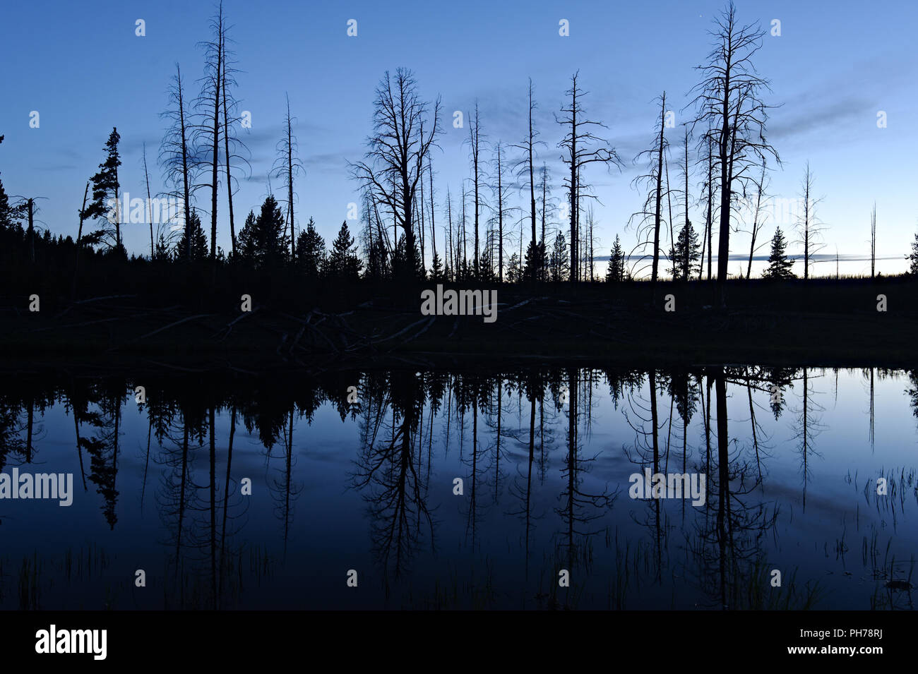 Reflection yellowstone national park hi-res stock photography and ...