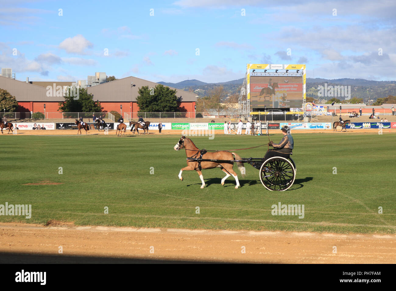Adelaide Australia.31 August 2018. The Royal Adelaide Show an annual ...