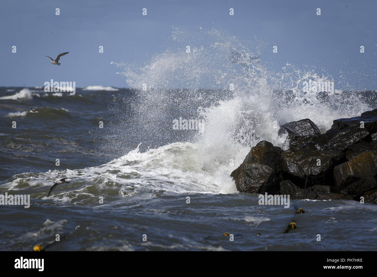 August 26, 2018 - Thorsminde, Midtjylland, Denmark - Wild sea in the ...