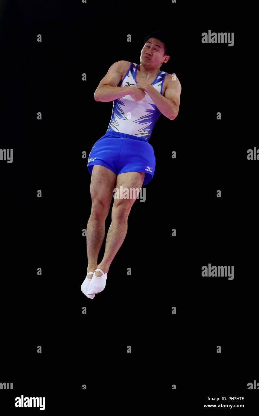 Jakarta, Indonesia. 30th Aug, 2018. Ryosuke Sakai (JPN) Gymnastics ...