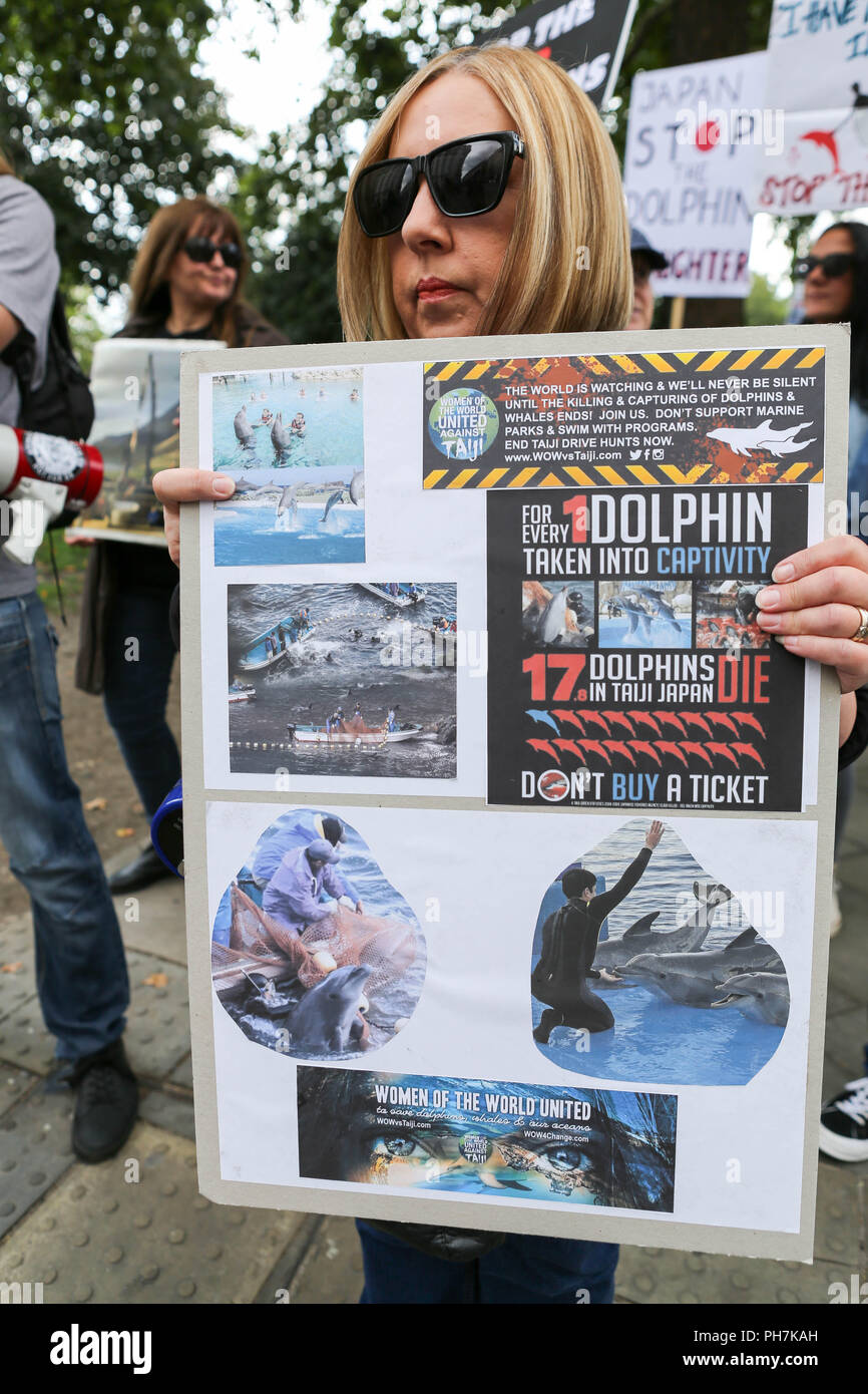 31st Aug, 2018. Protesters march from Marble Arch to the Embassy of ...