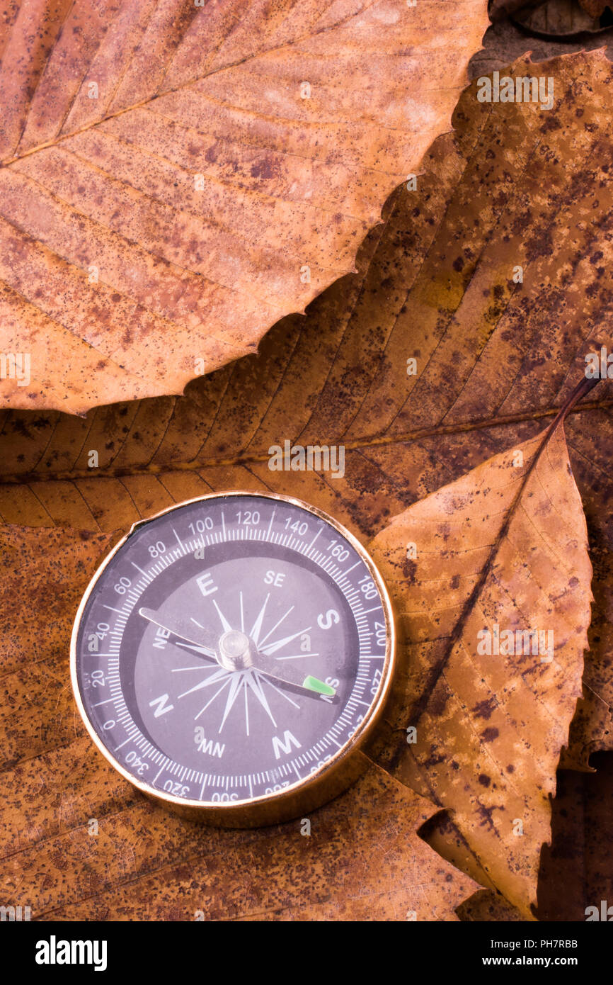 Compass an instrument for determining directions placed on dry leaves ...