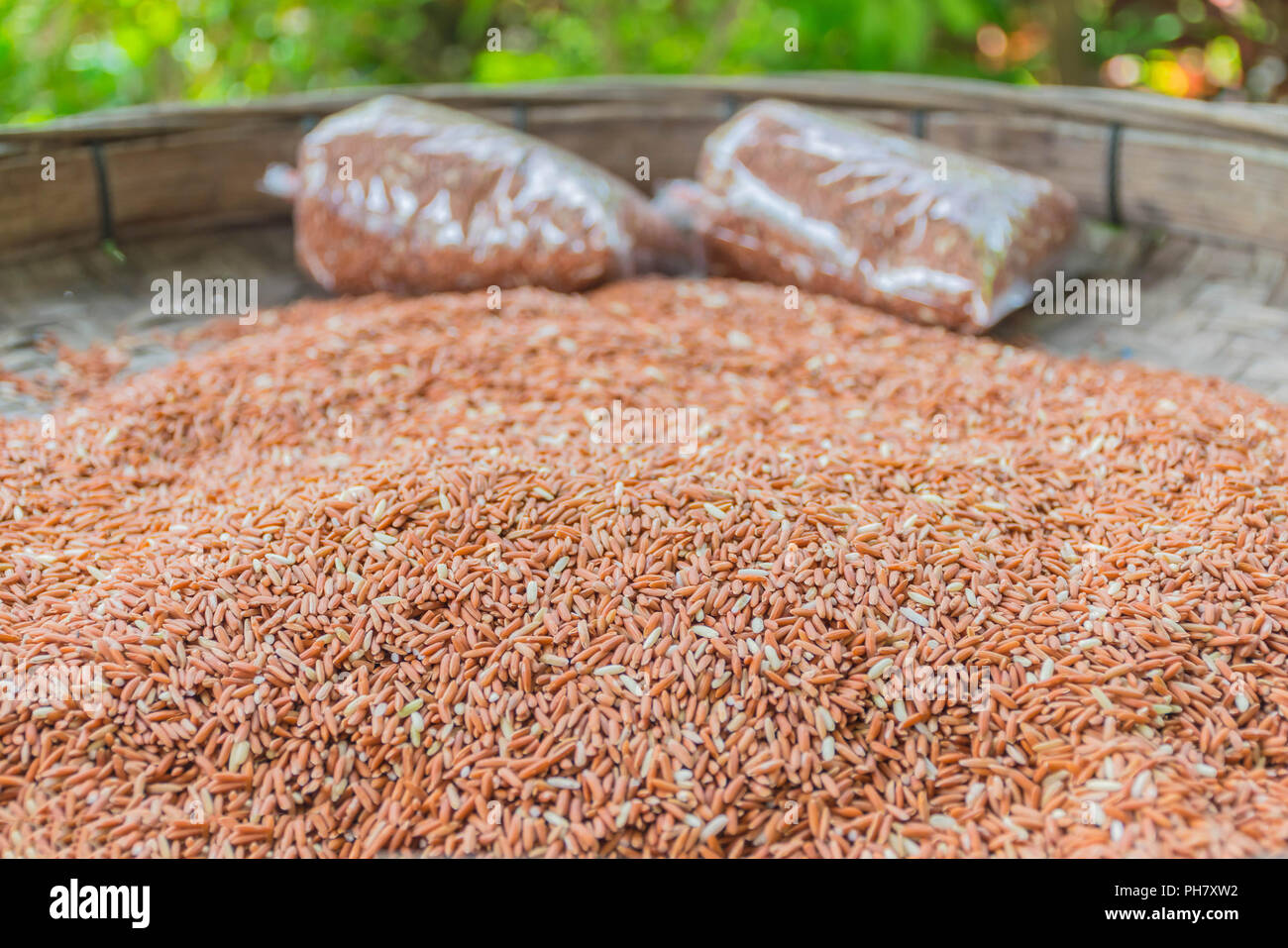 The soft blurred and soft focus surface texture dry method of red ...