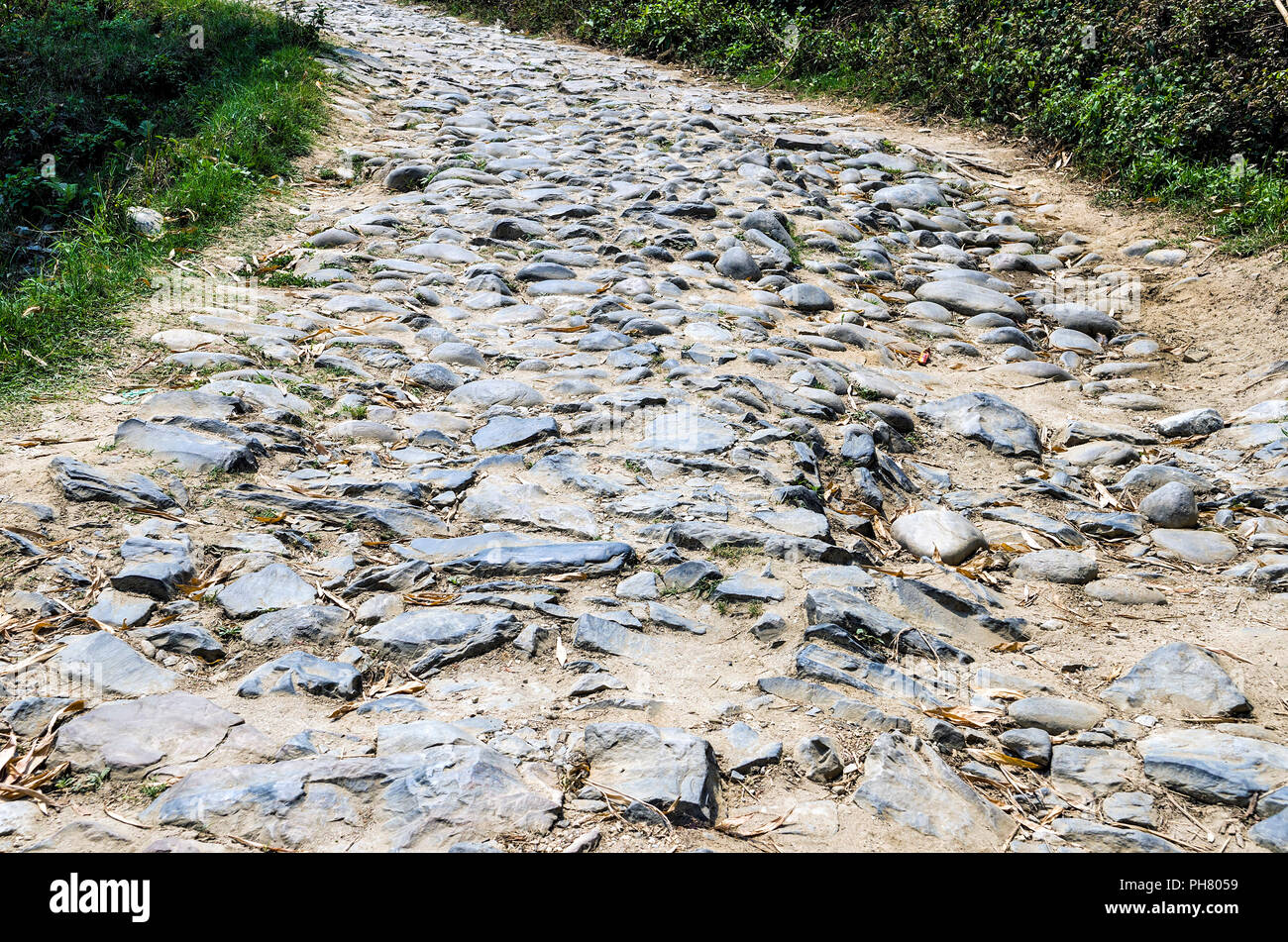 Tokyo stone path trail hi-res stock photography and images - Alamy