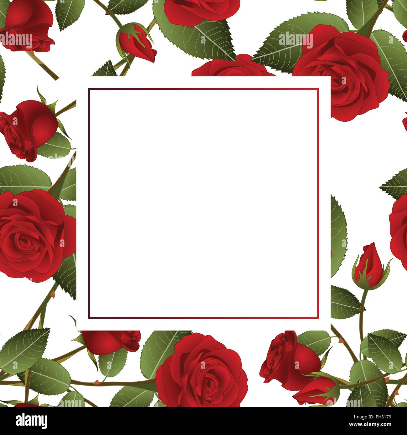 Beautiful Red Rose - Rosa Banner Card. Valentine Day. Vector ...