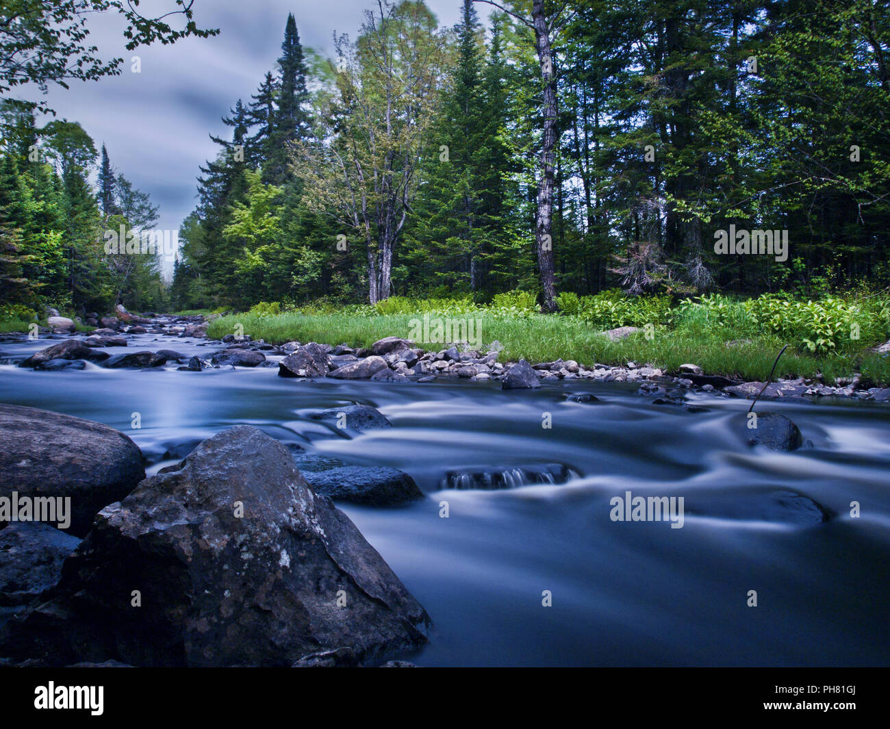 Long bois hi-res stock photography and images - Alamy