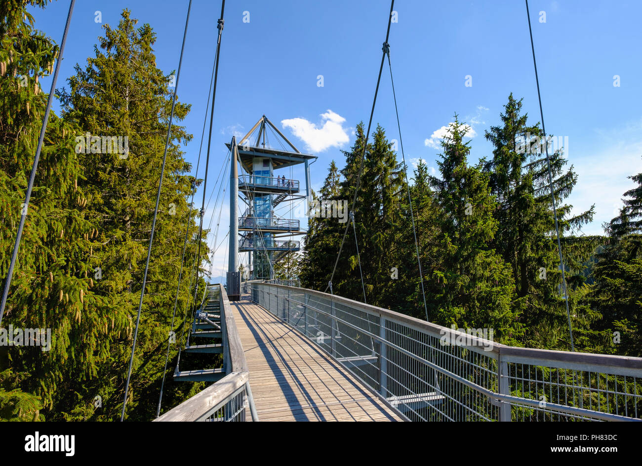 Skywalk Allgau Rezensionen