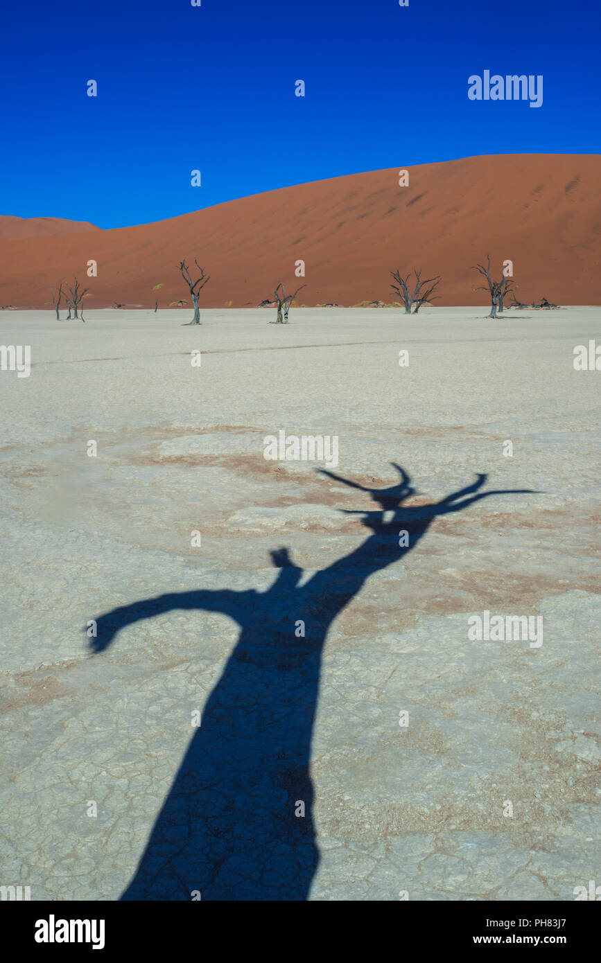 Dead tree in front of sand dune hi-res stock photography and images - Alamy