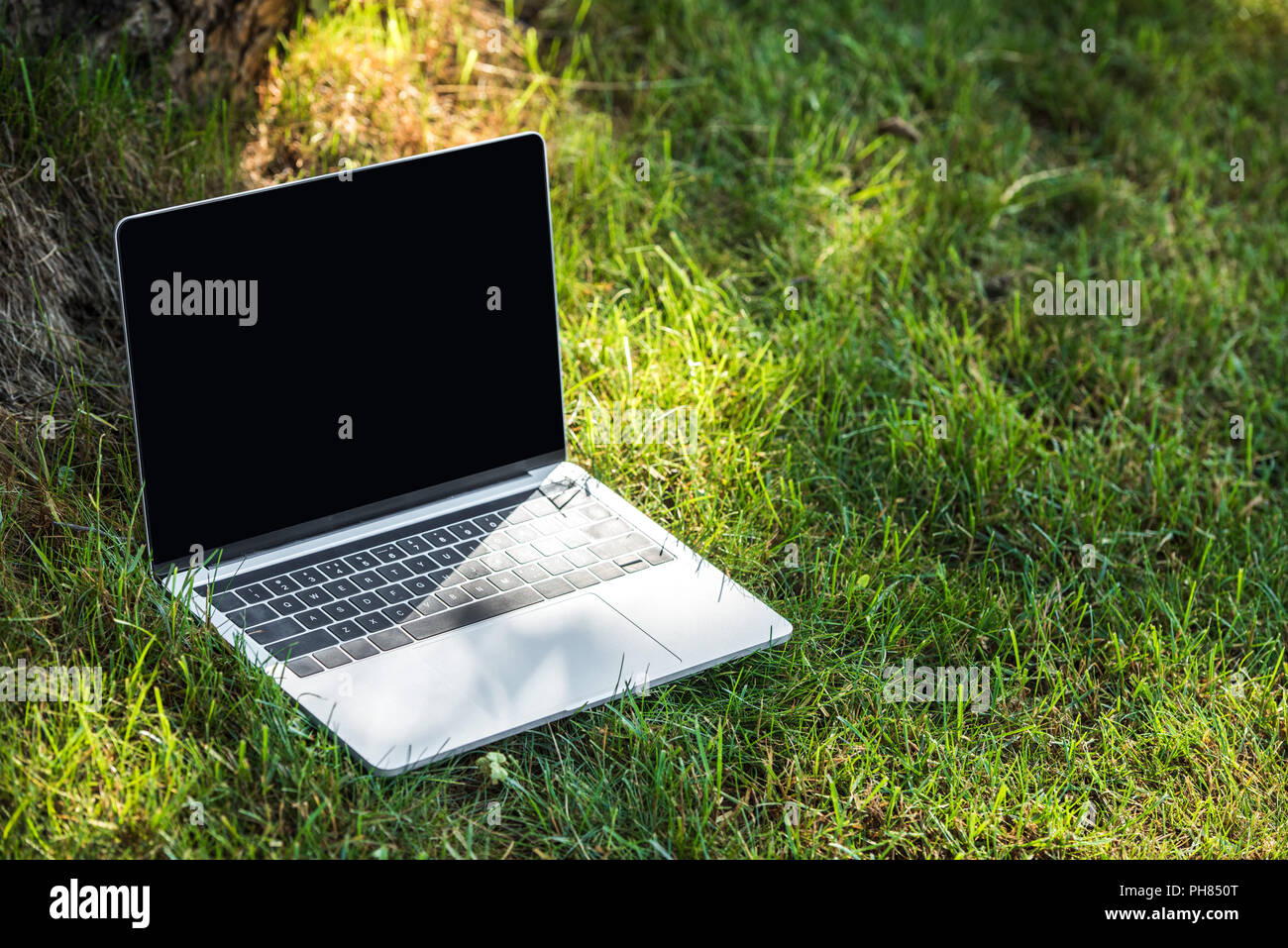 close up view of laptop with blank screen on grass outdoors Stock Photo ...
