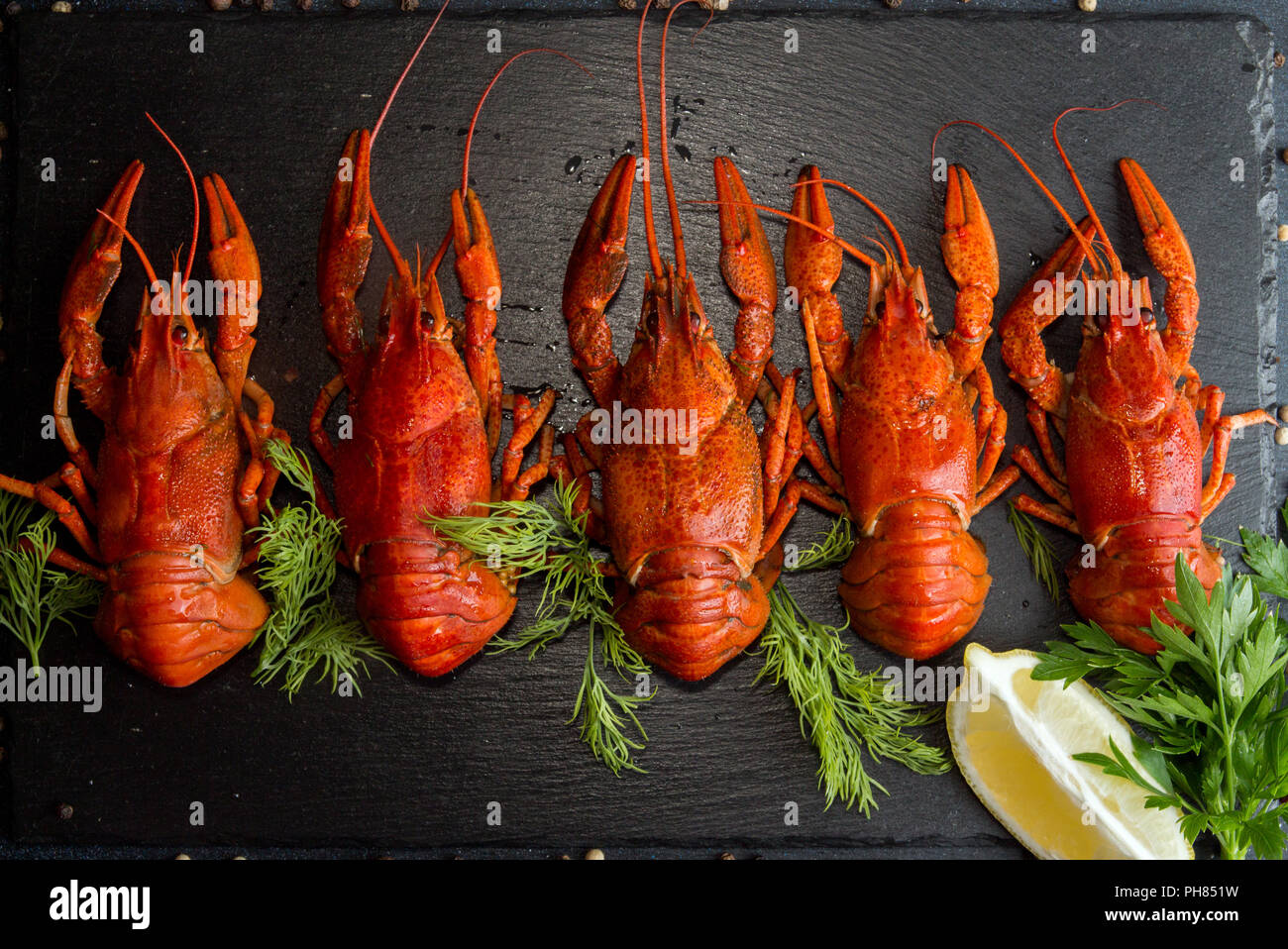 Row of boiled cooked crayfish crawfish ready to eat on black background ...