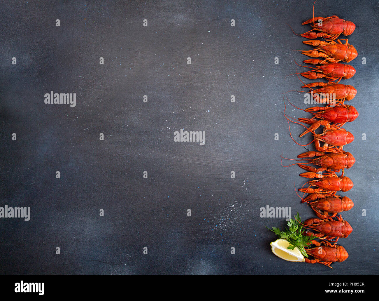 Row of boiled cooked crayfish crawfish ready to eat on black deep blue ...