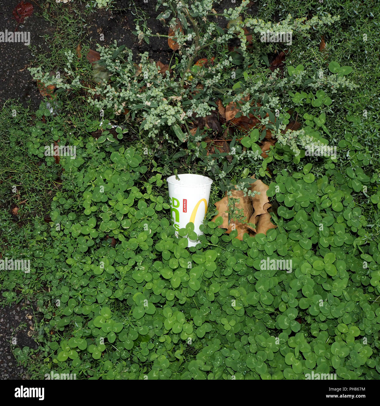 Litter & rubbish left on the street Stock Photo - Alamy