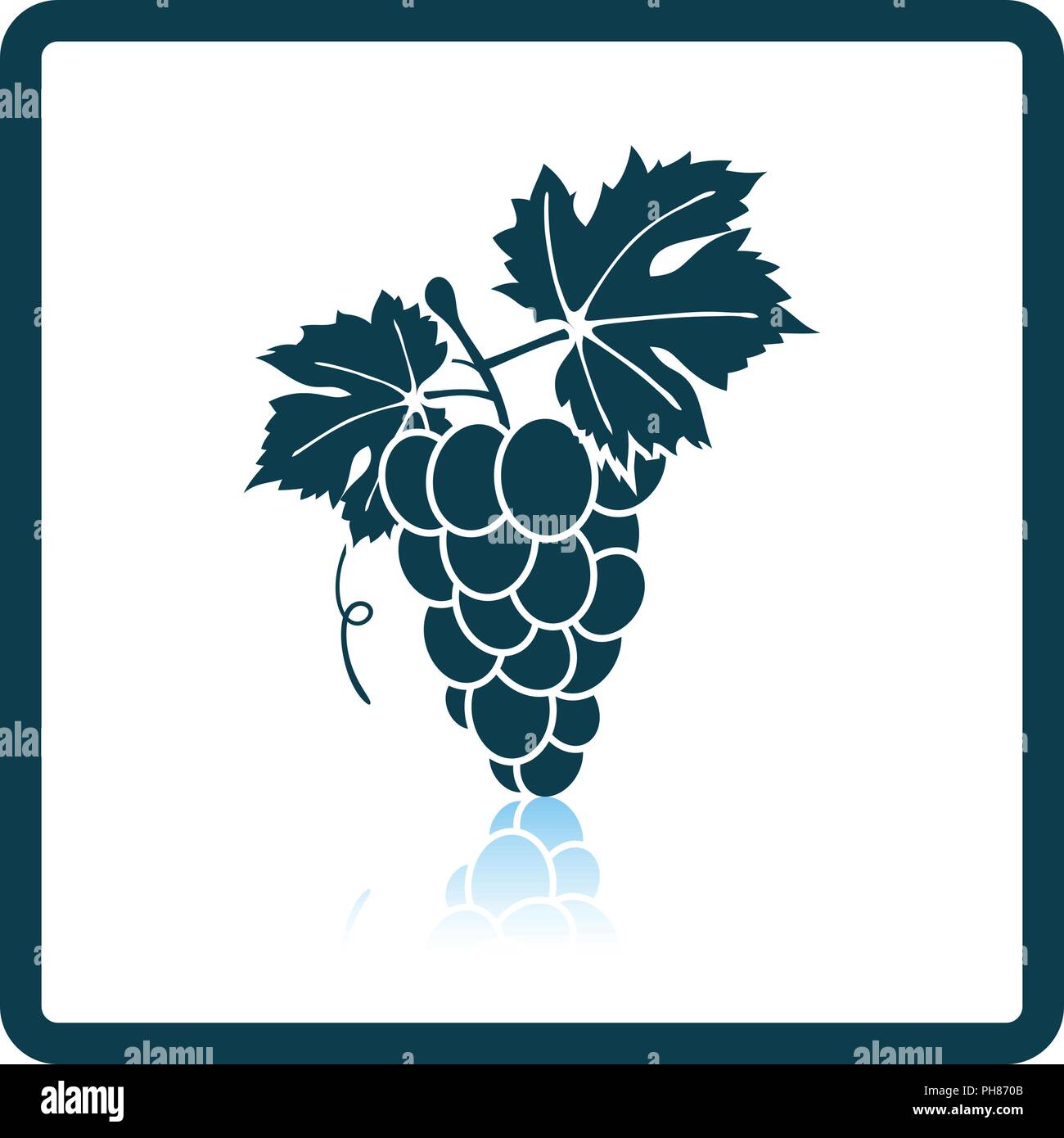 Icon of Grape. Shadow reflection design. Vector illustration Stock Vector Image & Art - Alamy