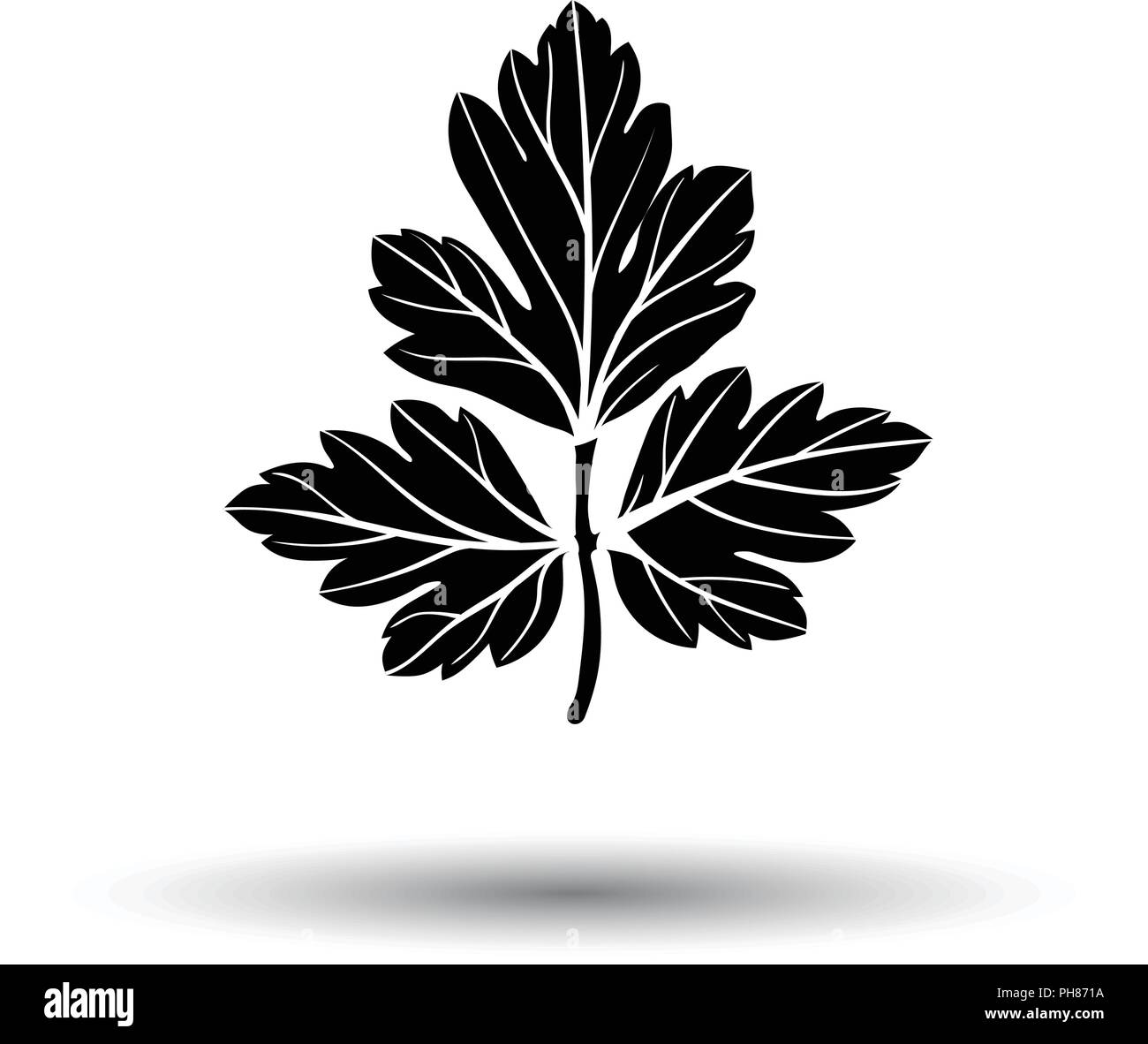Parsley icon. White background with shadow design. Vector illustration ...