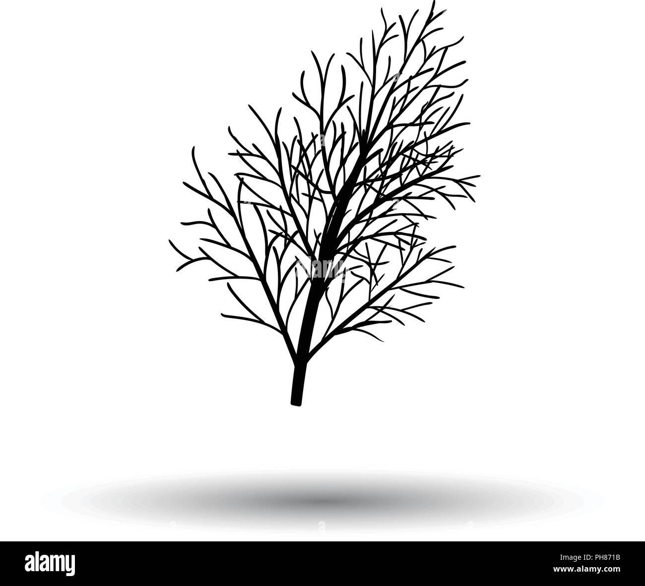 Dill icon. White background with shadow design. Vector illustration ...