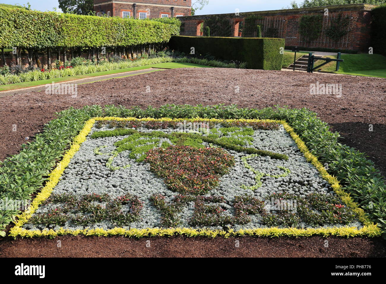 Great Vine celebrates its 250th year (planted 1768), Hampton Court ...