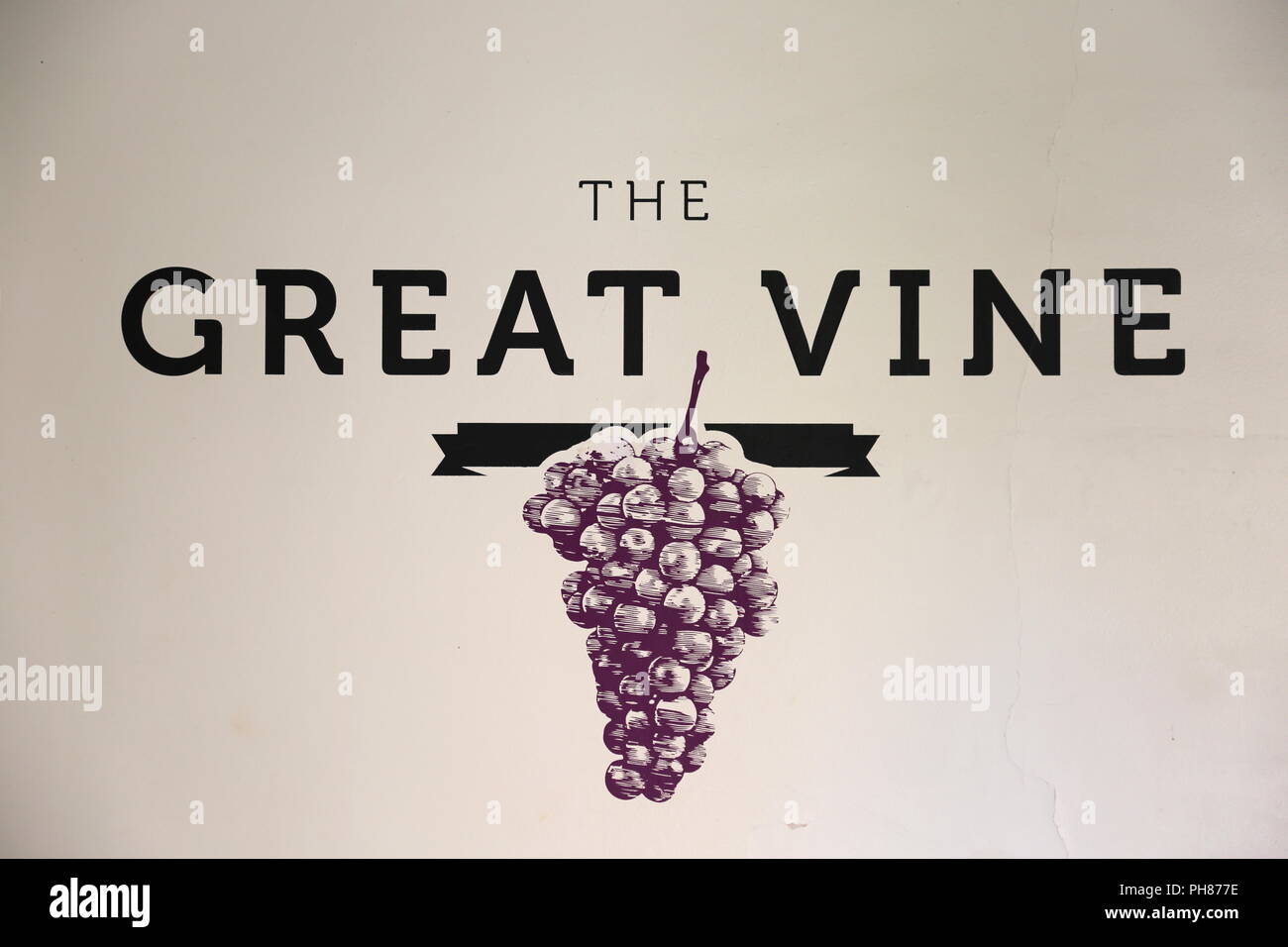 Great Vine celebrates its 250th year (planted 1768), Hampton Court ...