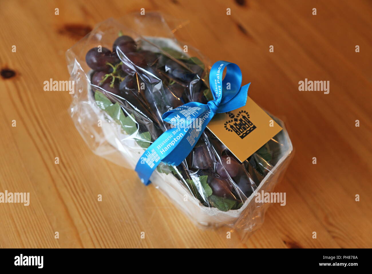 Black Hamburg (Vitis vinifera) grapes from the Great Vine, Hampton ...