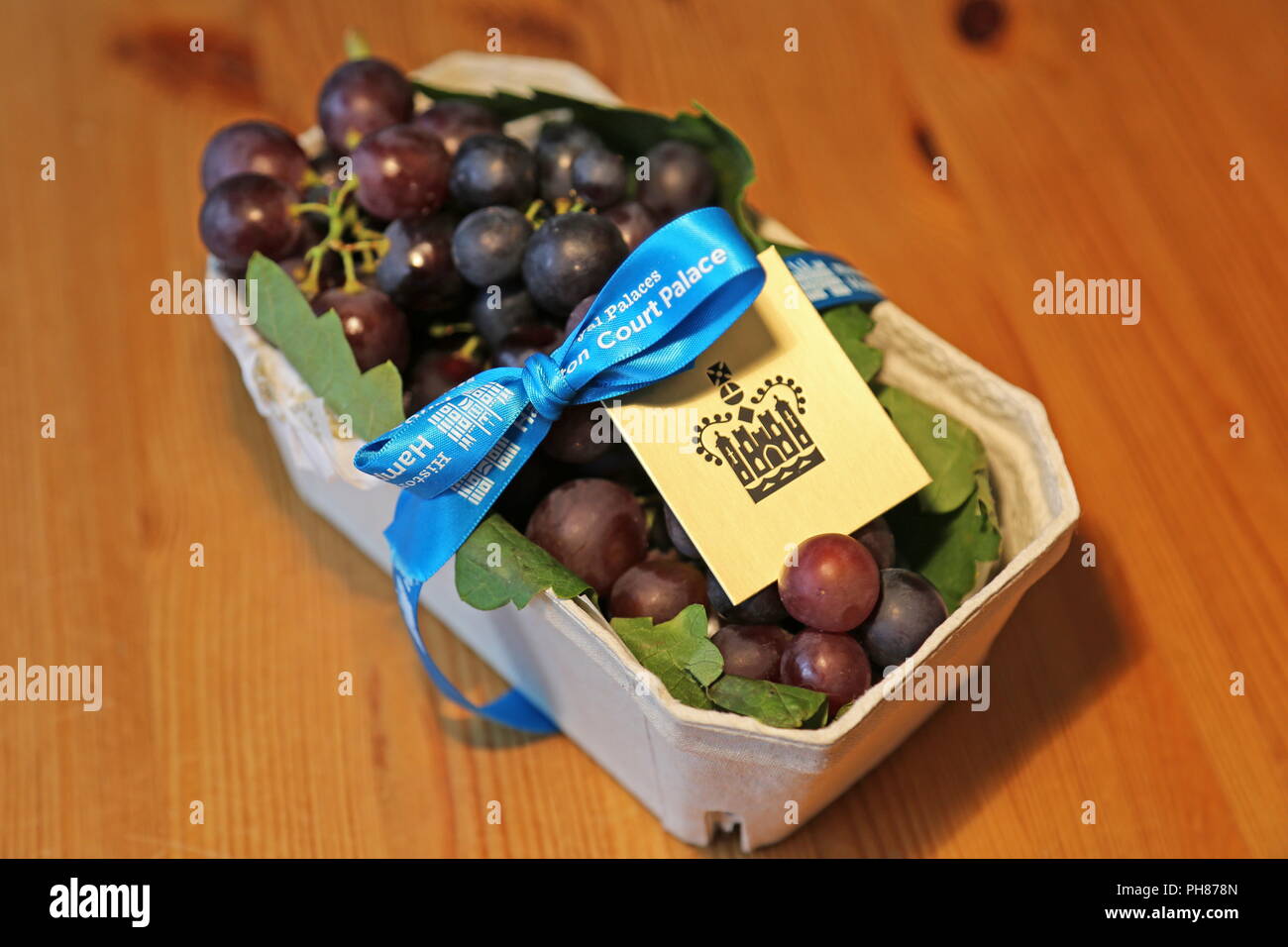 Black Hamburg (Vitis vinifera) grapes from the Great Vine, Hampton ...