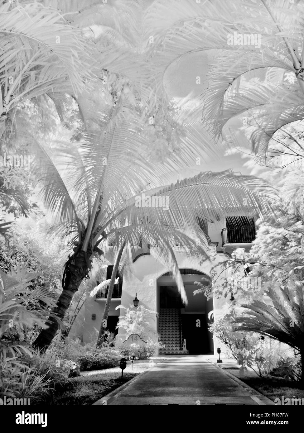 Hotel and palm trees Black and White Stock Photos & Images - Alamy