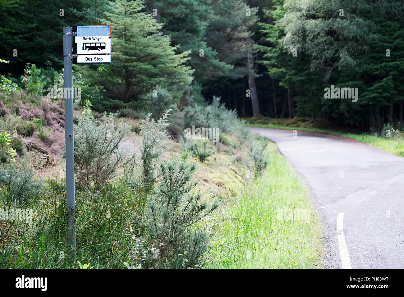 Bus stop sign in rural countryside location uk Stock Photo - Alamy