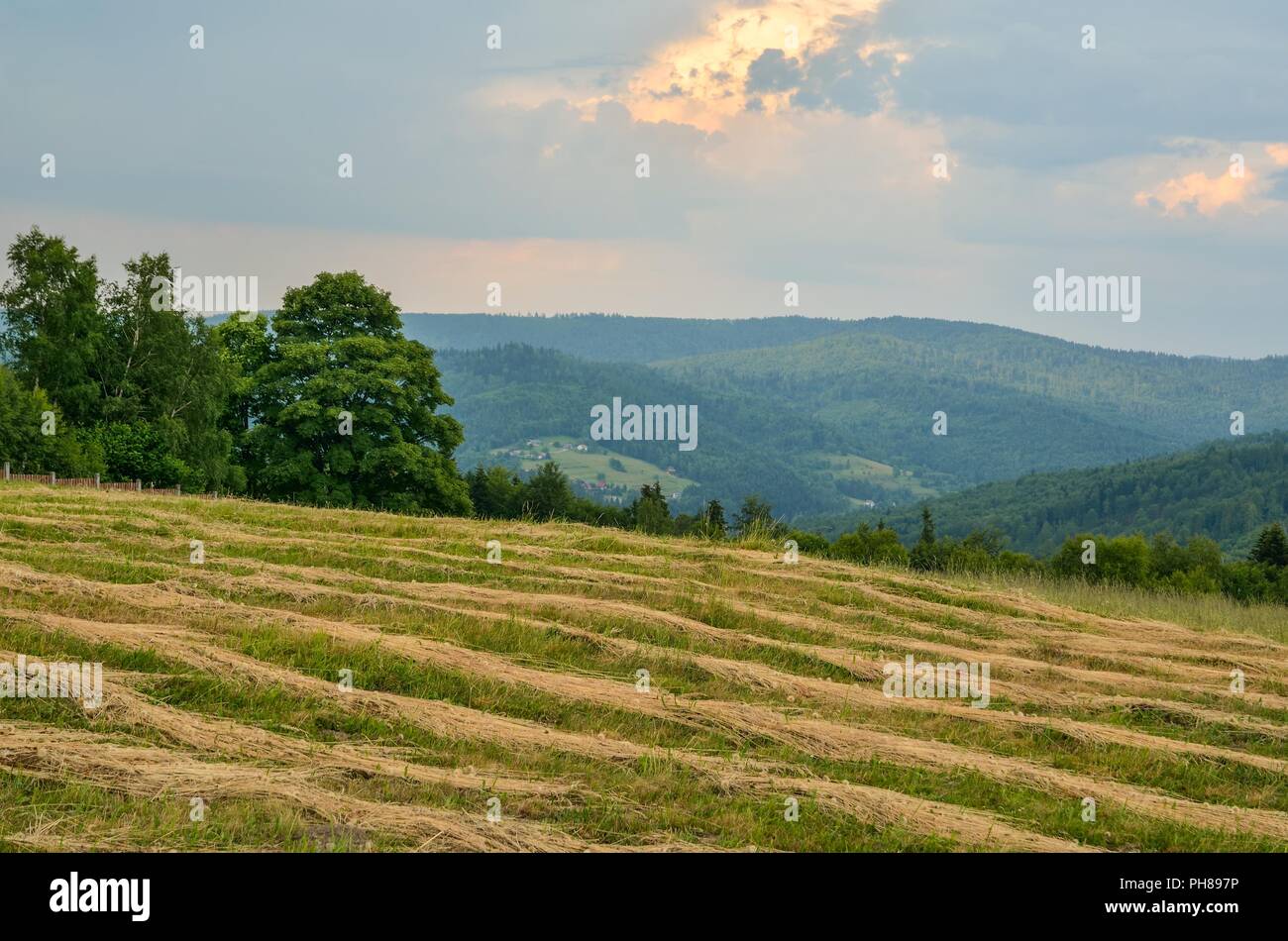 Beautiful mountain landscape. Spring colors in the hills Stock Photo ...