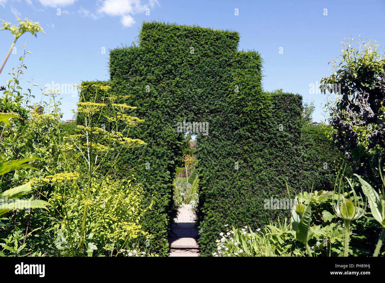 Yew topiary taxus baccata hi-res stock photography and images - Alamy
