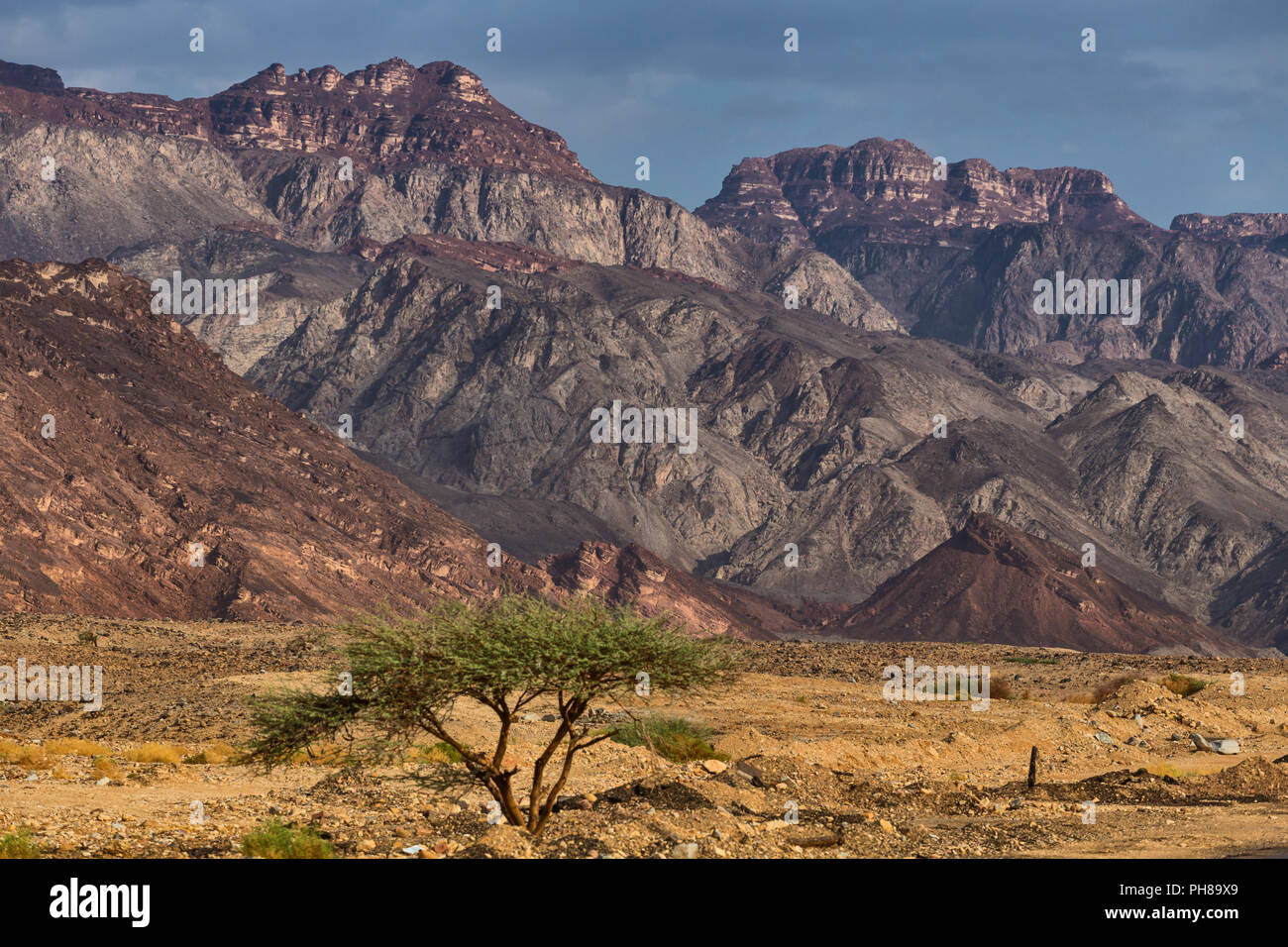 Road from Nuweiba to Taba, Sinai peninsula, Egypt Stock Photo - Alamy