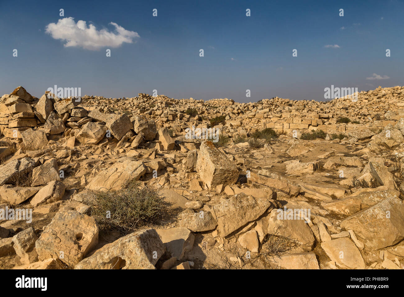 Rehovot, israel hi-res stock photography and images - Alamy