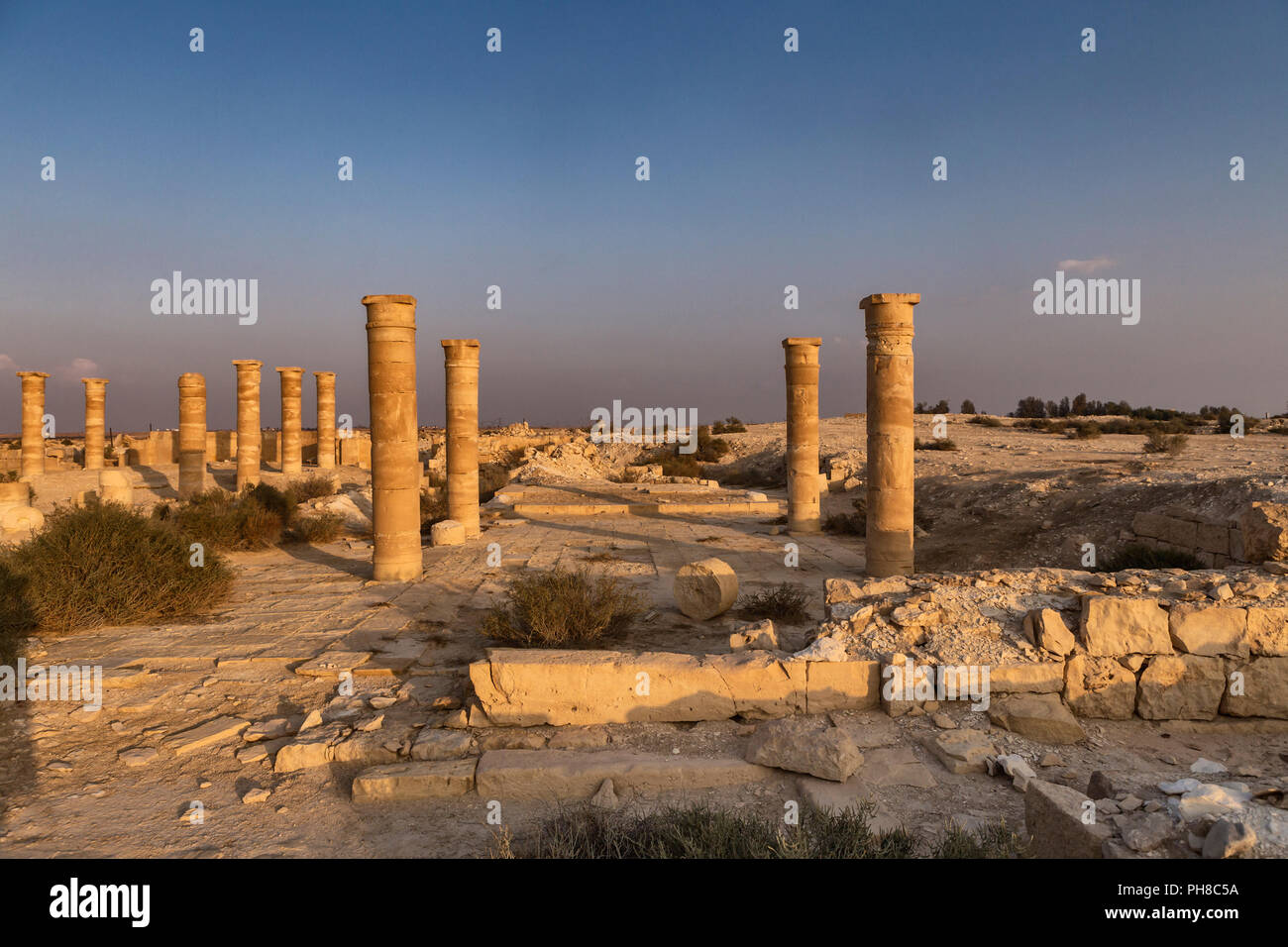 Nitzana, Roman dead city, Negev desert, Israel Stock Photo - Alamy