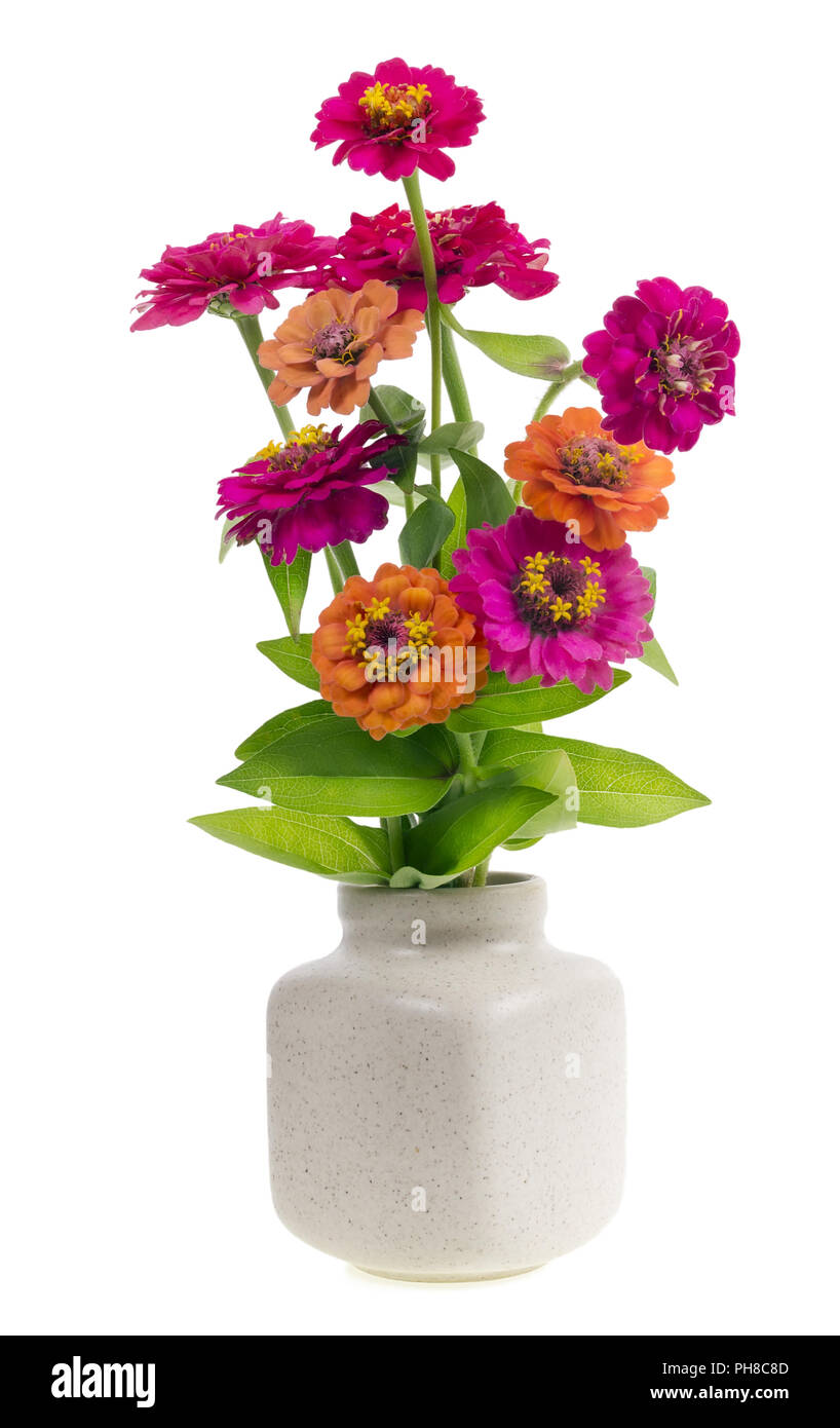 minimalistic bouquet - mini magenta flowers Stock Photo - Alamy
