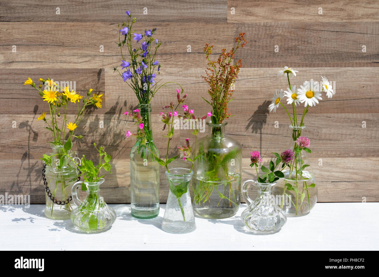 herbs flower garden Stock Photo - Alamy