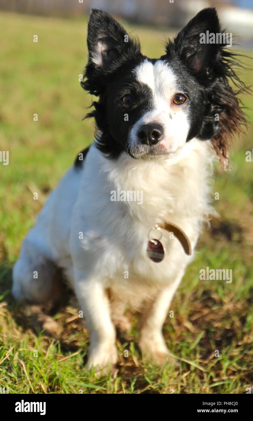 Samson street hi-res stock photography and images - Alamy