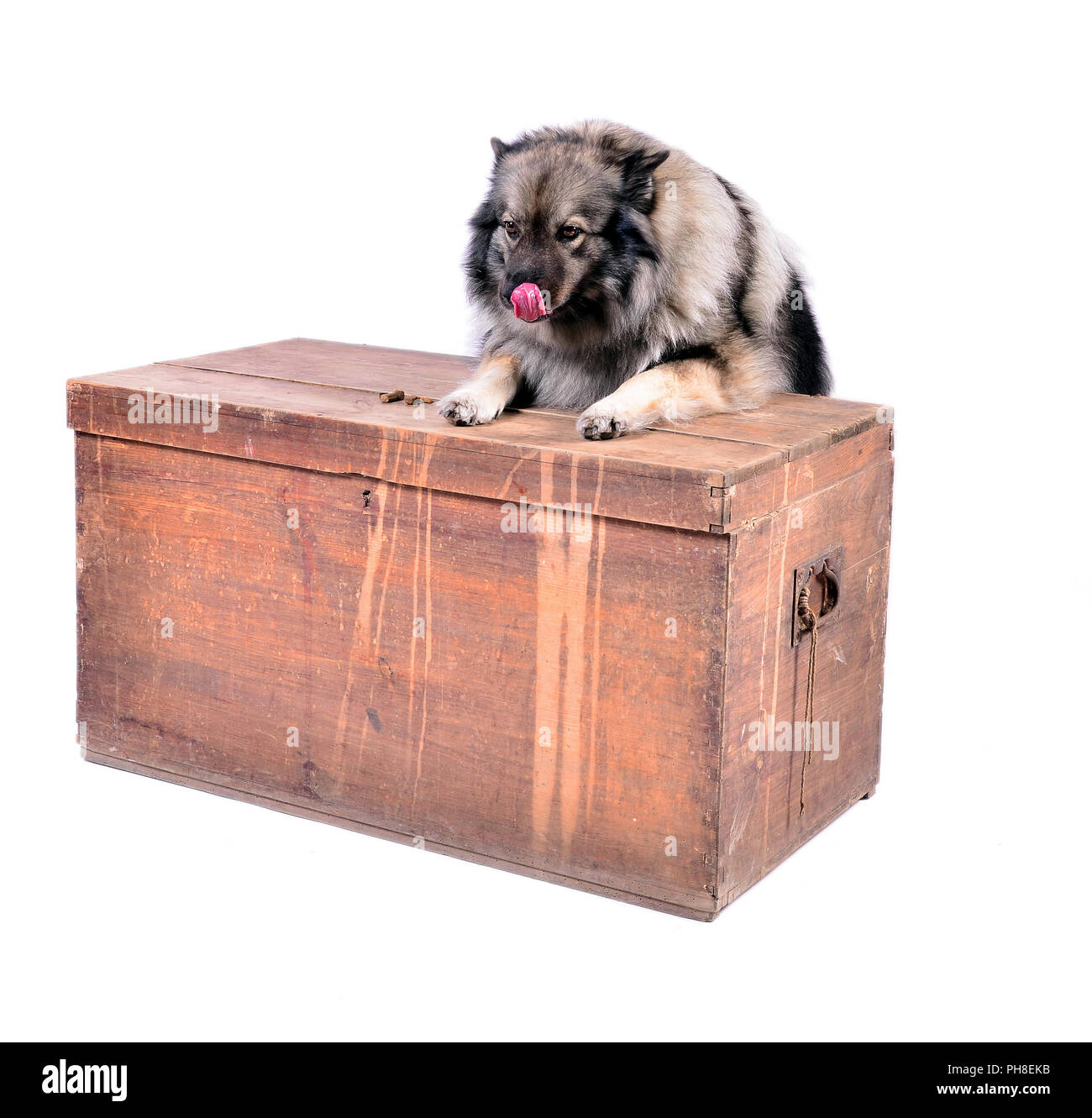 Chest photo hi-res stock photography and images - Alamy