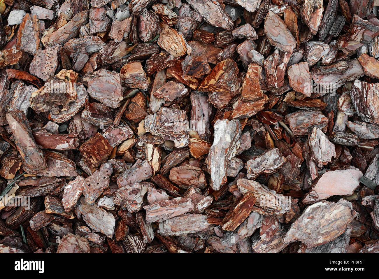 pieces of wood bark for background or texture Stock Photo - Alamy