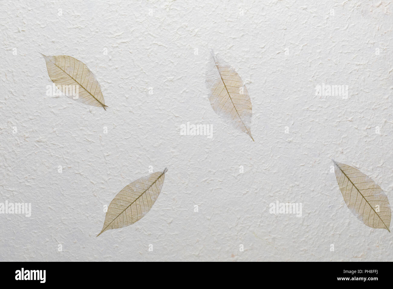 Handmade paper texture with recycled materials, tree leaves and cotton ...