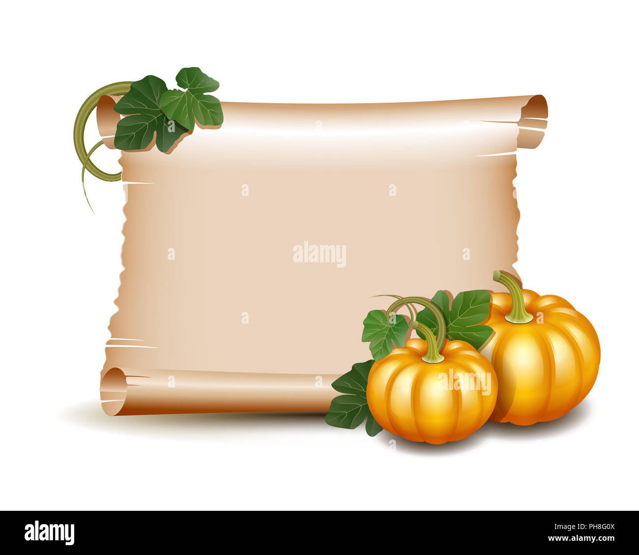 Thanksgiving greeting background pumpkins Cut Out Stock Images ...