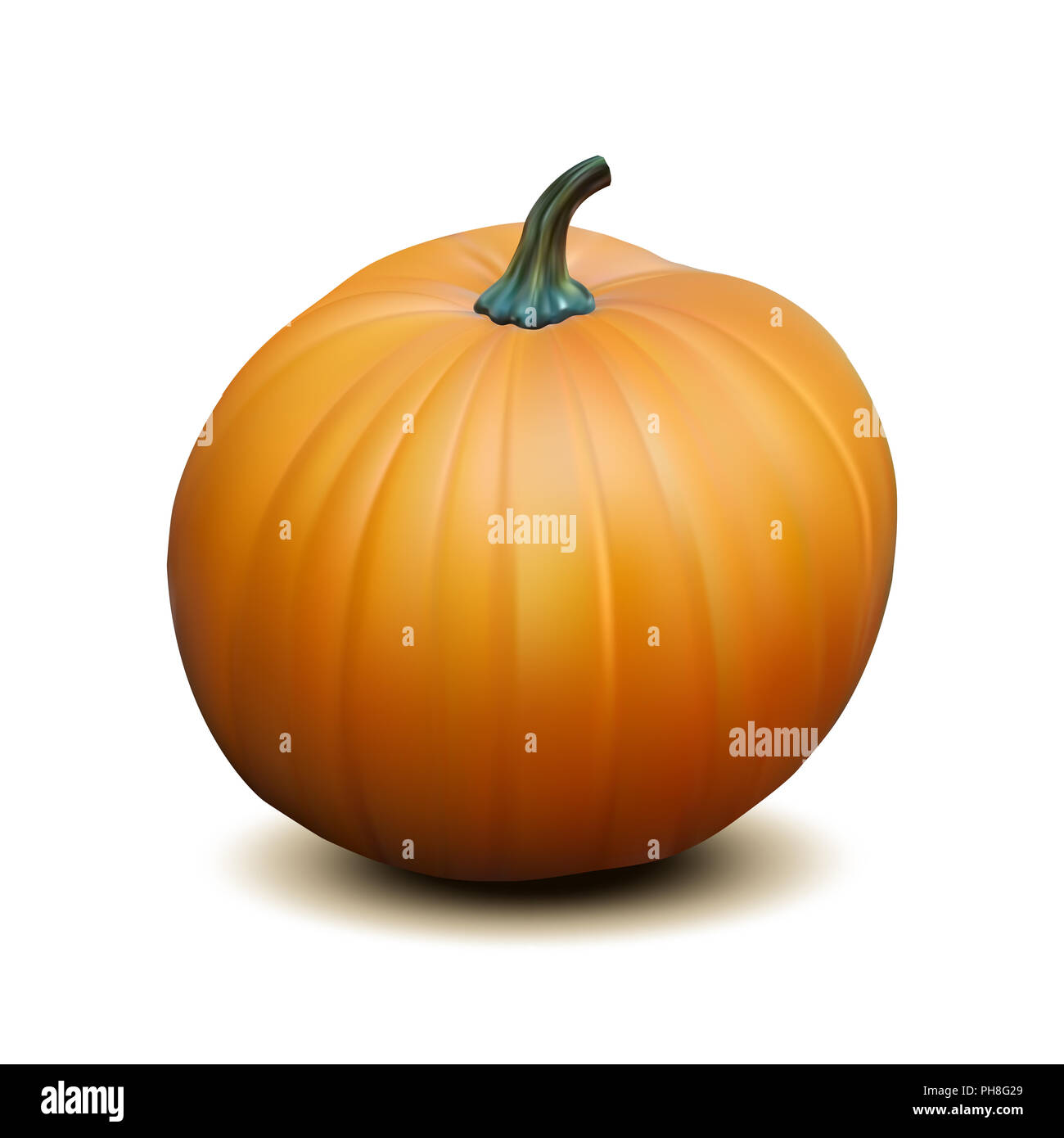 Halloween thanksgiving realistic pumpkin Cut Out Stock Images ...